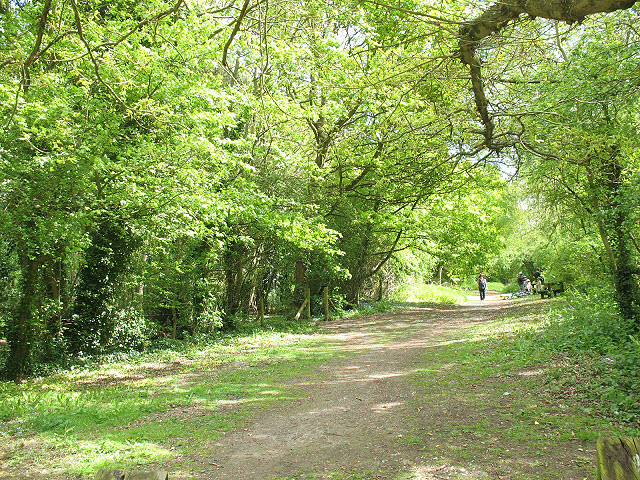 Sandy Beech – A Pink Lady Project | Thoughts from Mark "Hat" Rackley