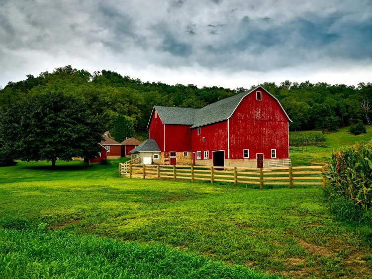 Green with Envy over this Quiz | Thoughts from Mark "Hat" Rackley